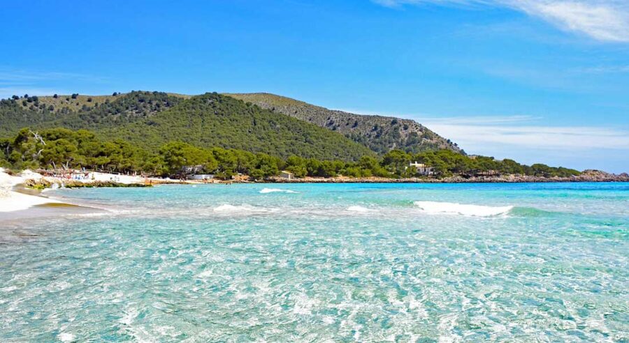 Reiseziel Cala Agulla » Mallorca-Entdecker